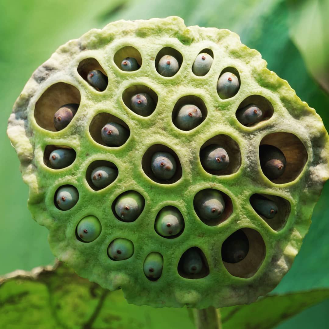 9 fobias que podem ser identificadas olhando essas fotos - Mundo Inverso